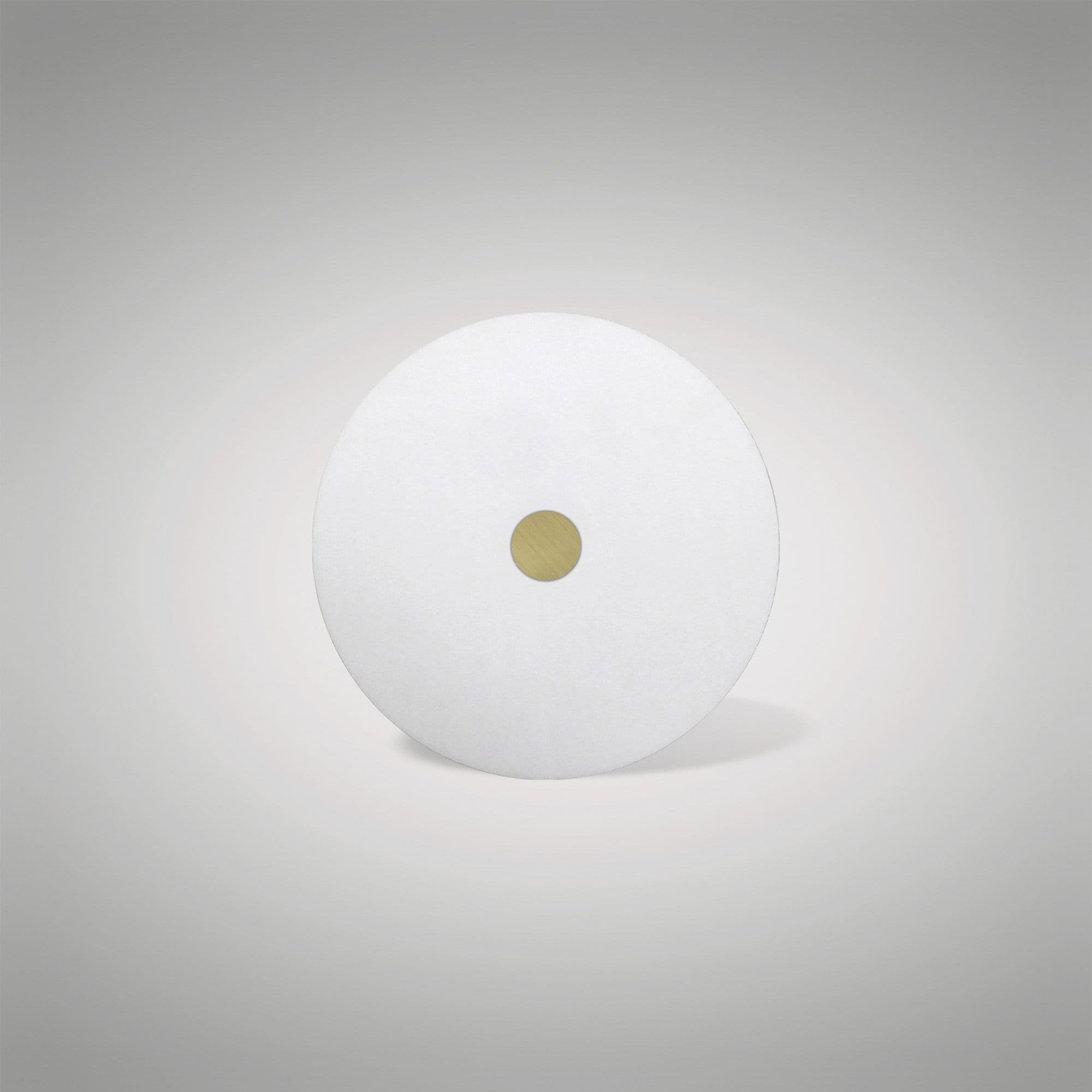 Universal 300mm Frosted Acrylic Diffuser With Antique Brass Centre Detail