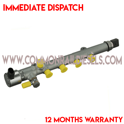Mercedes Sprinter 210-516 CDI 2 1 2009-2017 New Delphi Diesel Fuel Rail ...