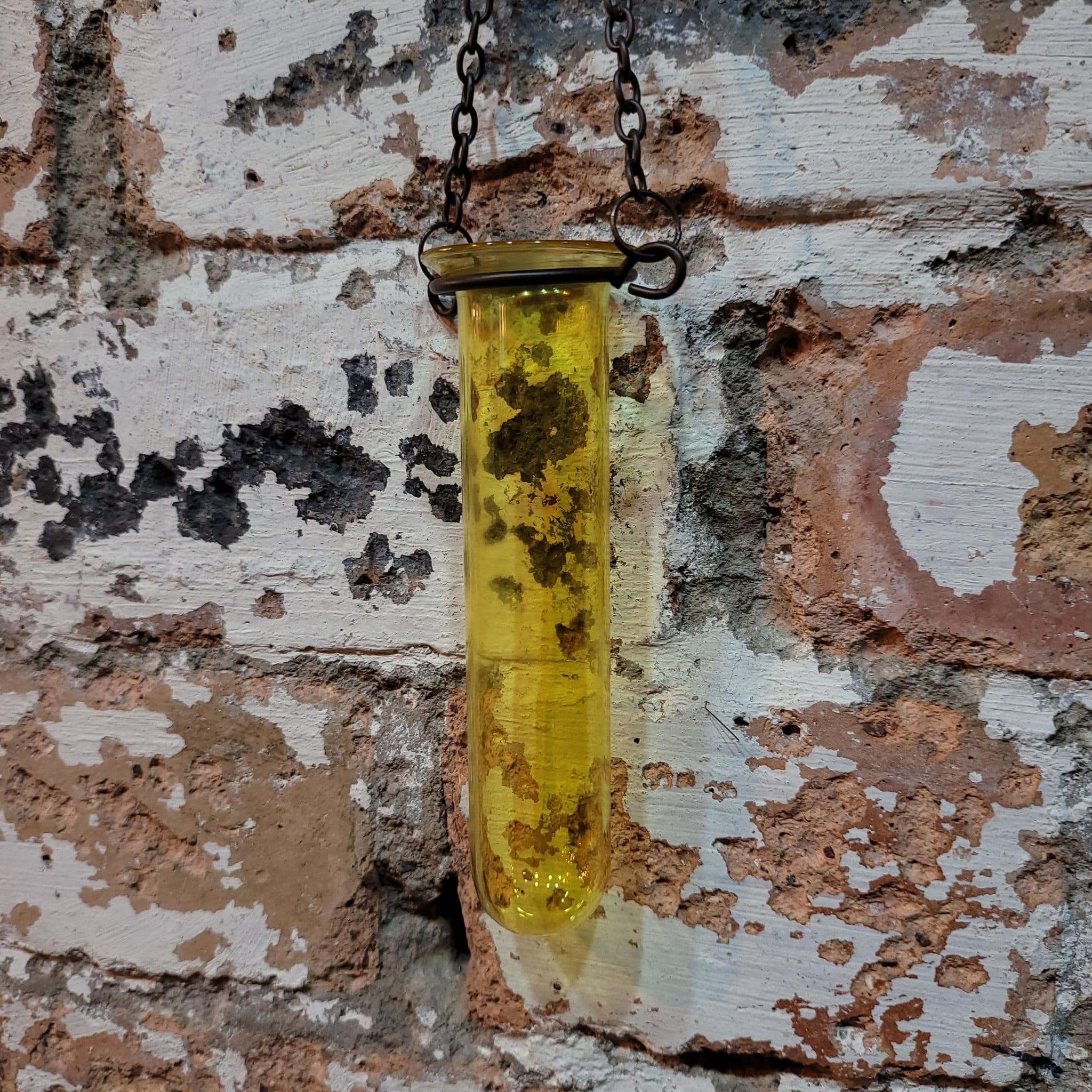 3 Hanging Test Tube Flower Holders