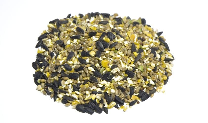 "Deluxe Mixed Poultry Corn 20kg: A Wholesome Blend for Happy and ...