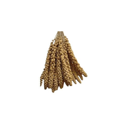 "Millet Sprays for Birds: Wholesome Treats for Health and Happiness"