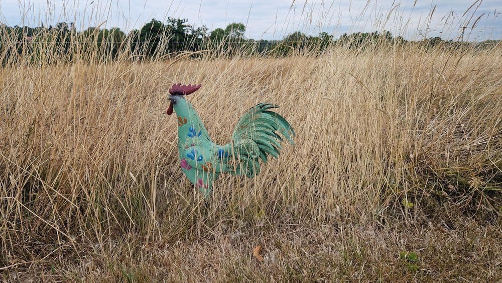Painted Green Cockerel