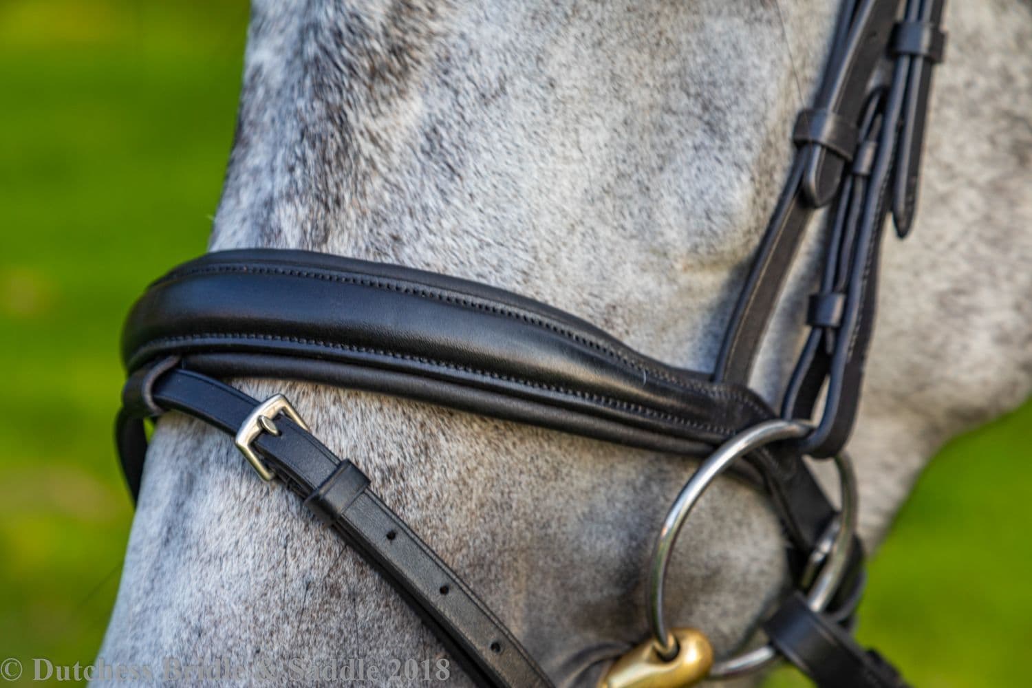 Collegiate Mono Crown Padded Raised Flash Bridle - Saddlemasters
