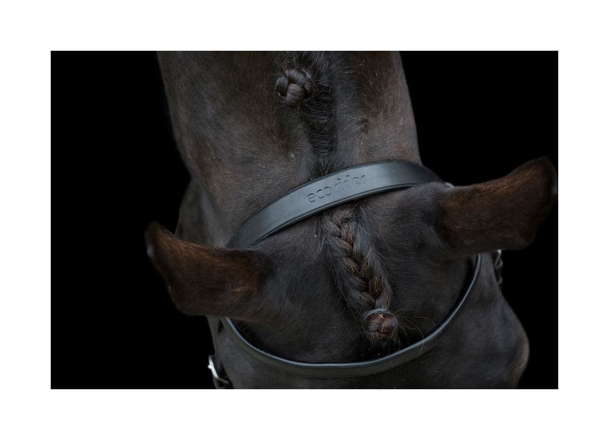 EcoRider Classic Show Bridle - Saddlemasters
