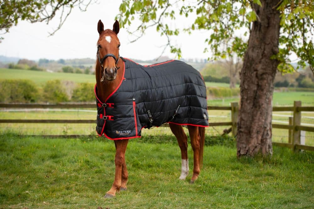 Gallop Trojan 200g Stable Rug - Limited stock - Saddlemasters