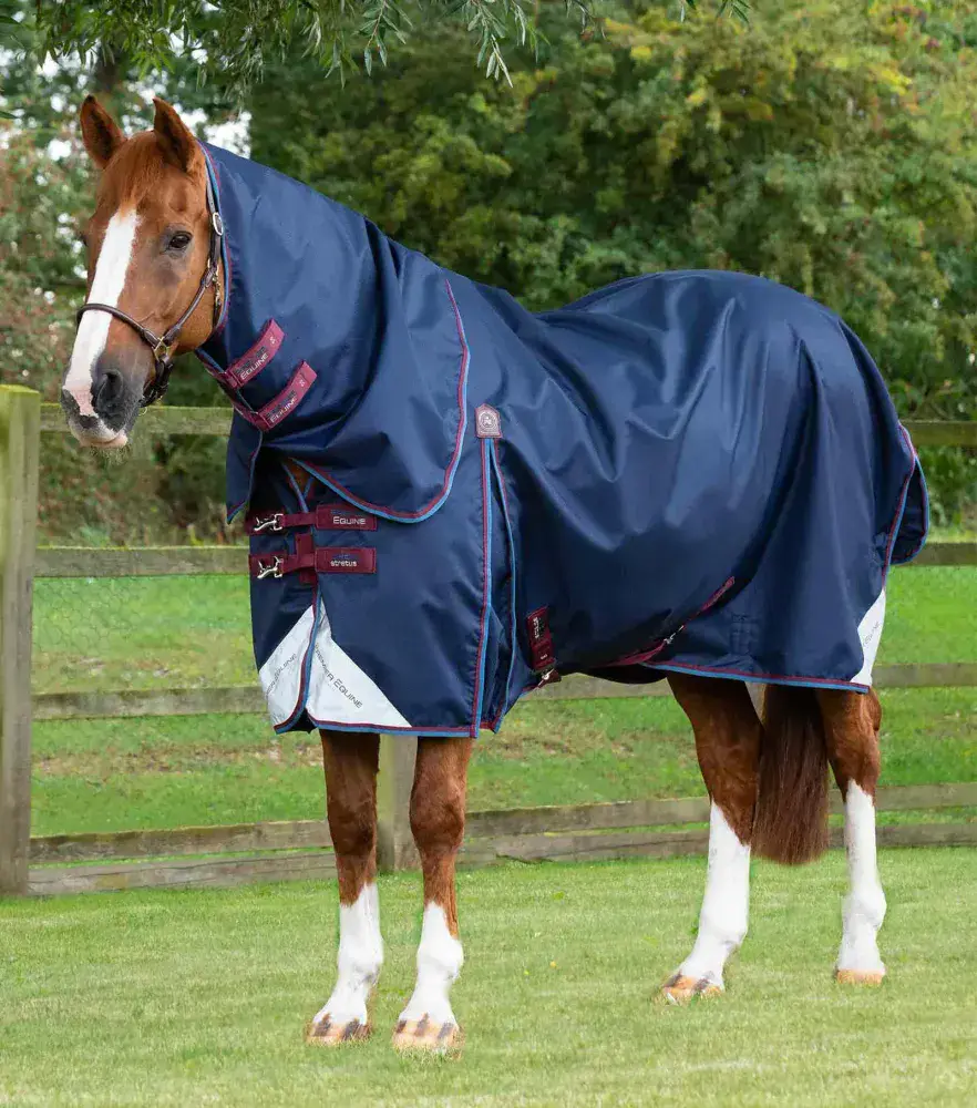 Premier Equine Akoni 0g Turnout Rug with Classic Neck Cover - Saddlemasters