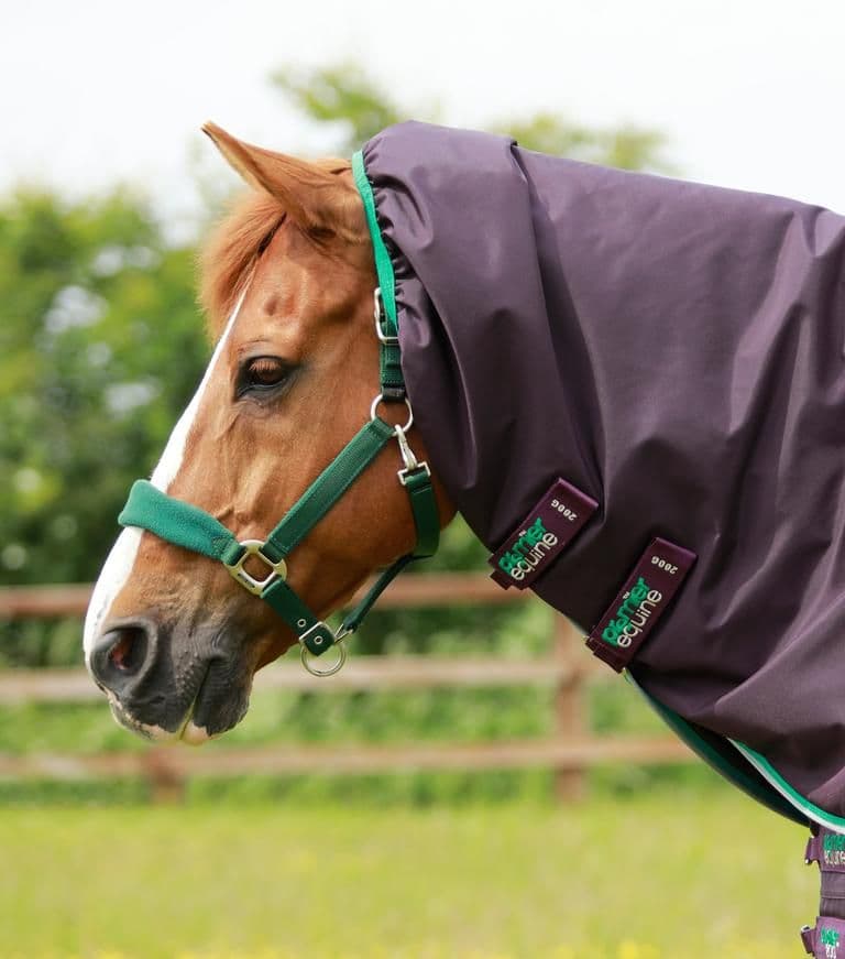 Premier Equine Buster 200g Turnout Rug with Snug-Fit Neck Cover