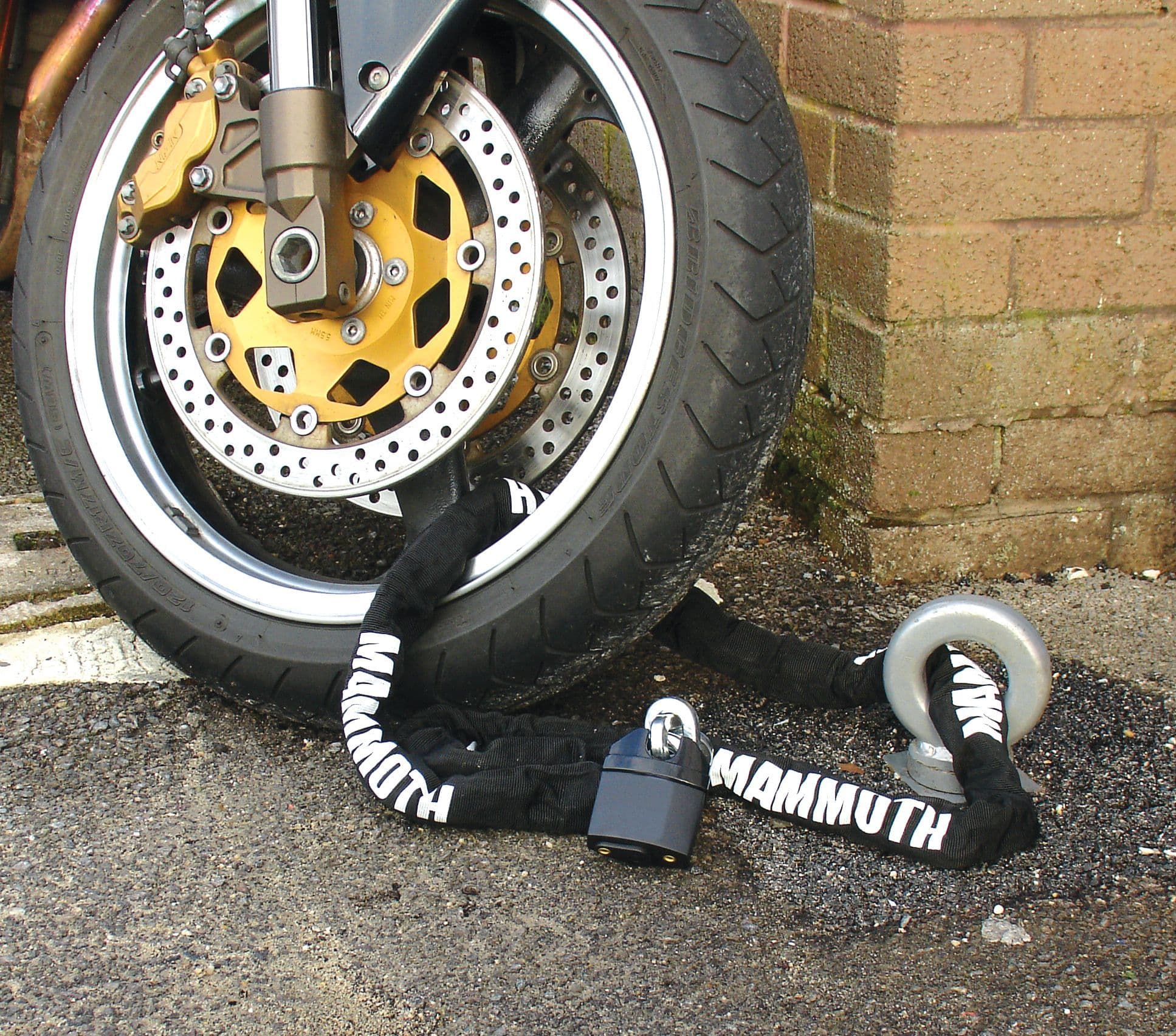 Mammoth Security Concrete-In Ground Anchor