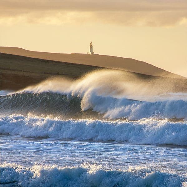 Waves at Grobust