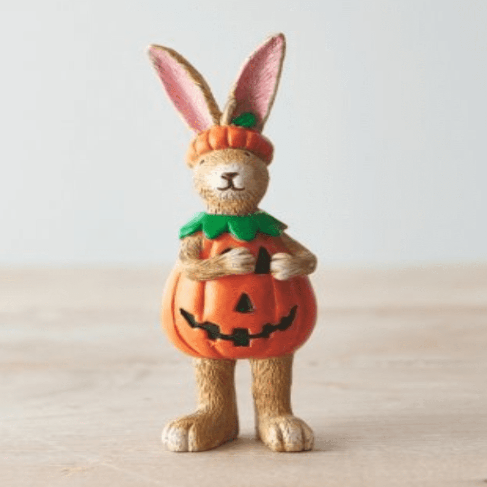 Pumpkin Bunny