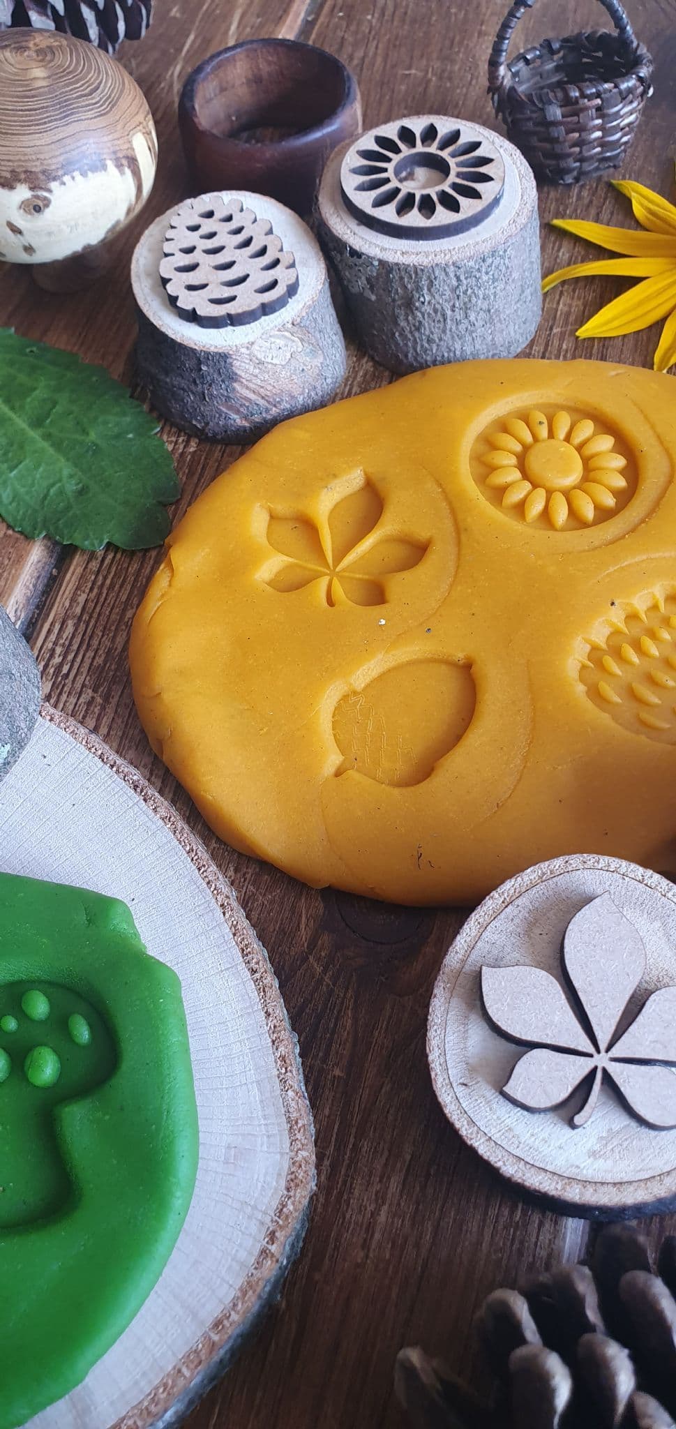 Autumn Log Slices Play Dough Stamps