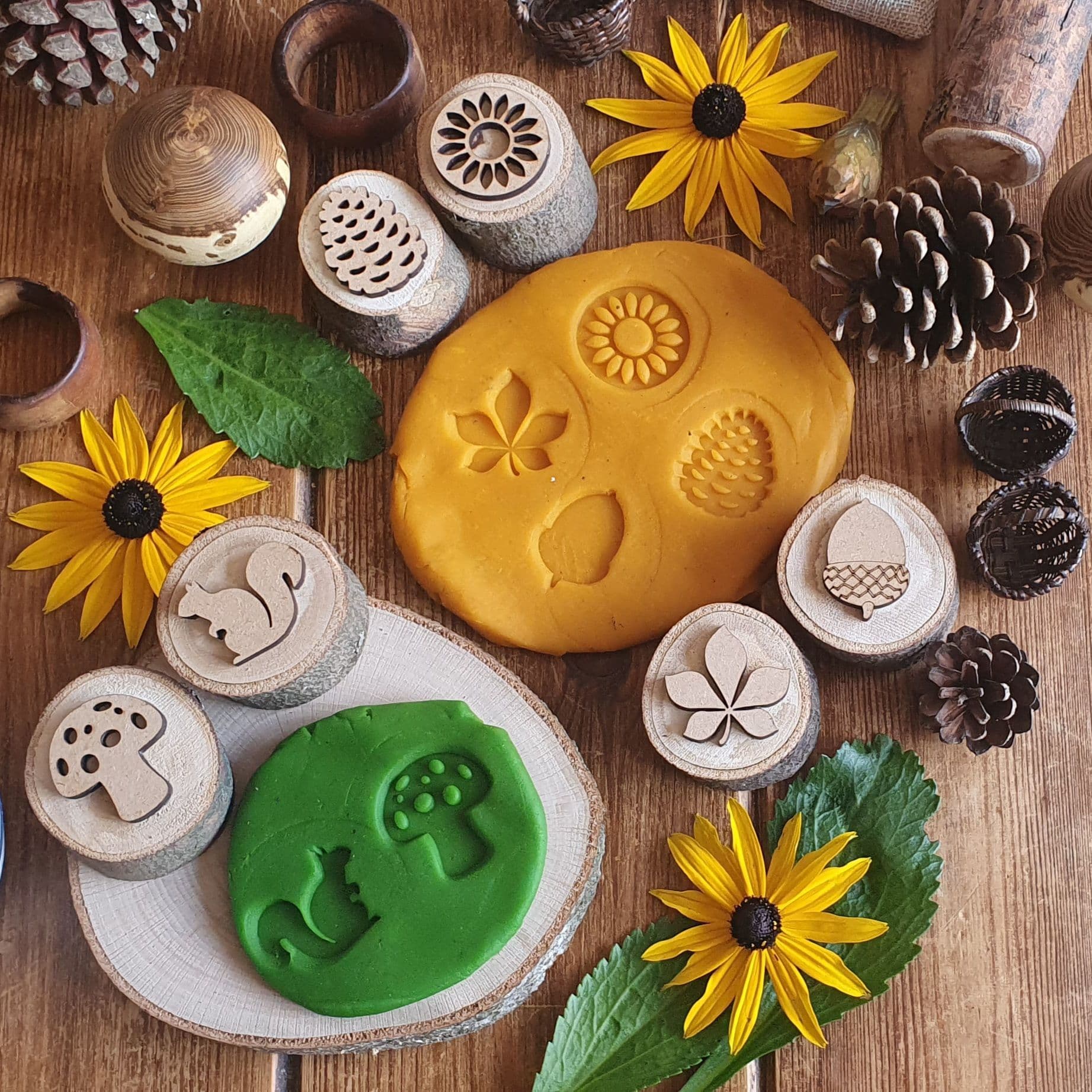 Autumn Log Slices Play Dough Stamps