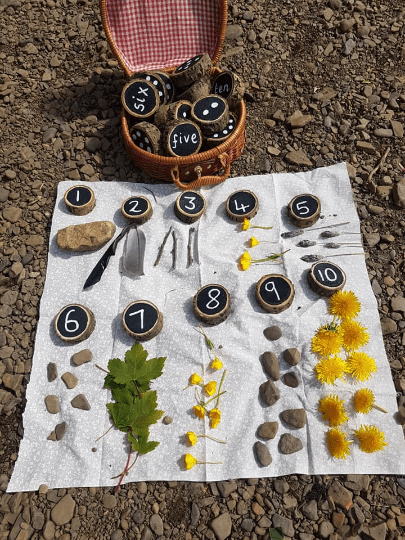 Chalkboard Log Slices