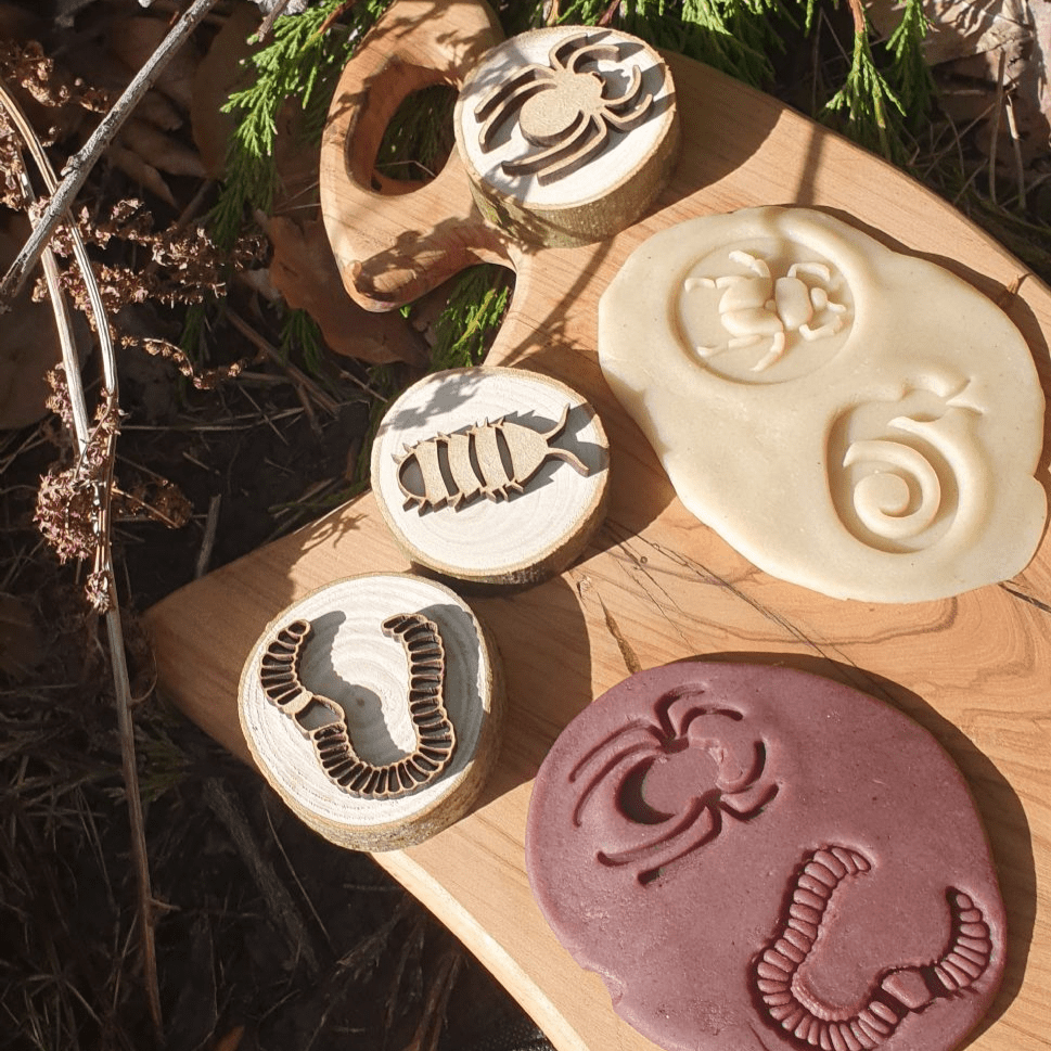 Minibeast Insect Log Slices Play Dough Stamps