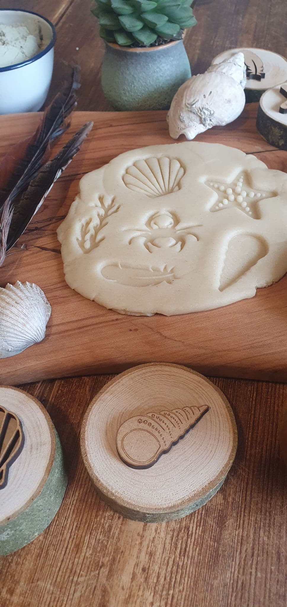 Seaside Beach Log Slices Play Dough Stamps