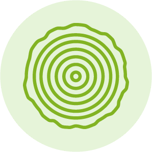 Log Slices & Wooden Toys Handmade, Sustainable & Plastic Free