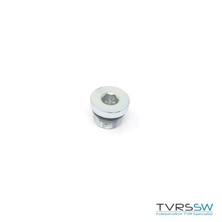 Diff sump filler bung & washer