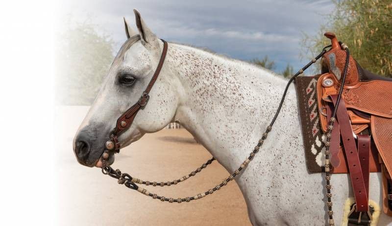 Professional s Choice Rawhide Romal Reins