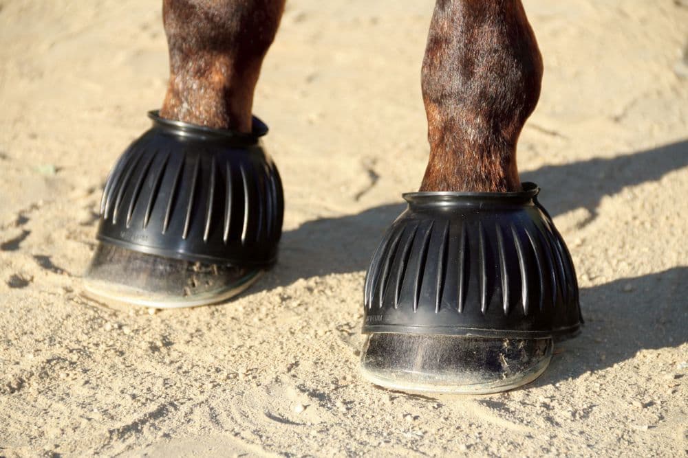 Pull On Rubber Bell Boots