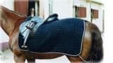 Thermatex Pony Exercise Rug