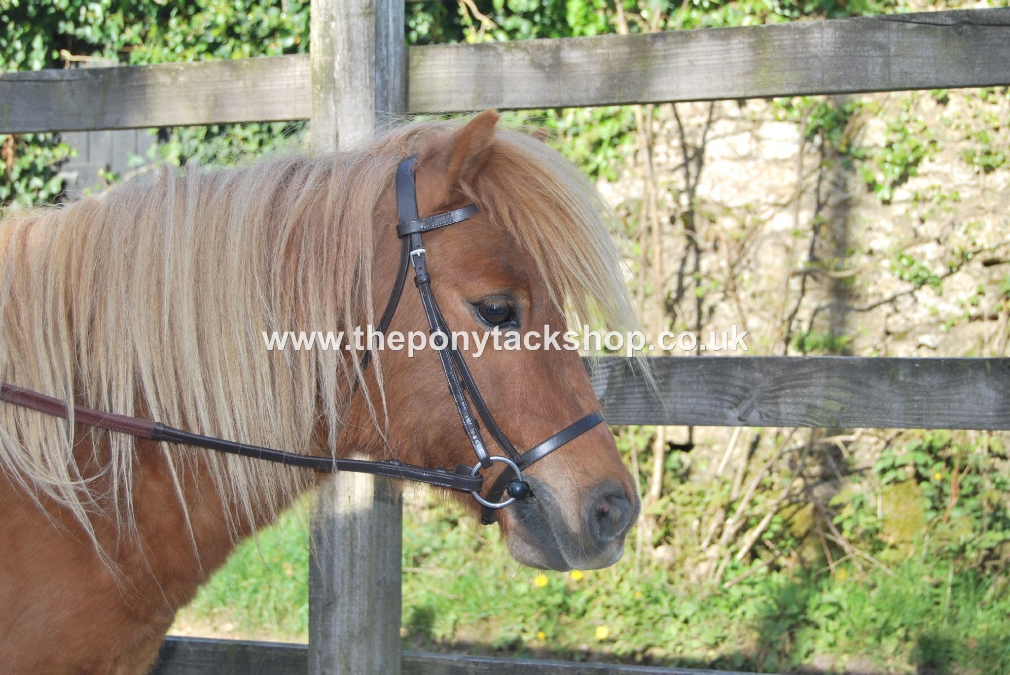 Velociti Miniature Bridle from Shires Flat Bridle in Mini & Small Pony ...