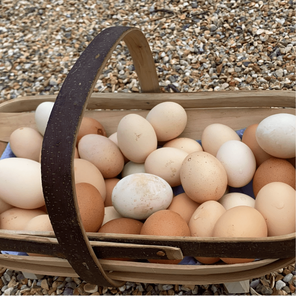 Eating Eggs - COLLECTION ONLY - Trays & Boxes - Avalilable NOW