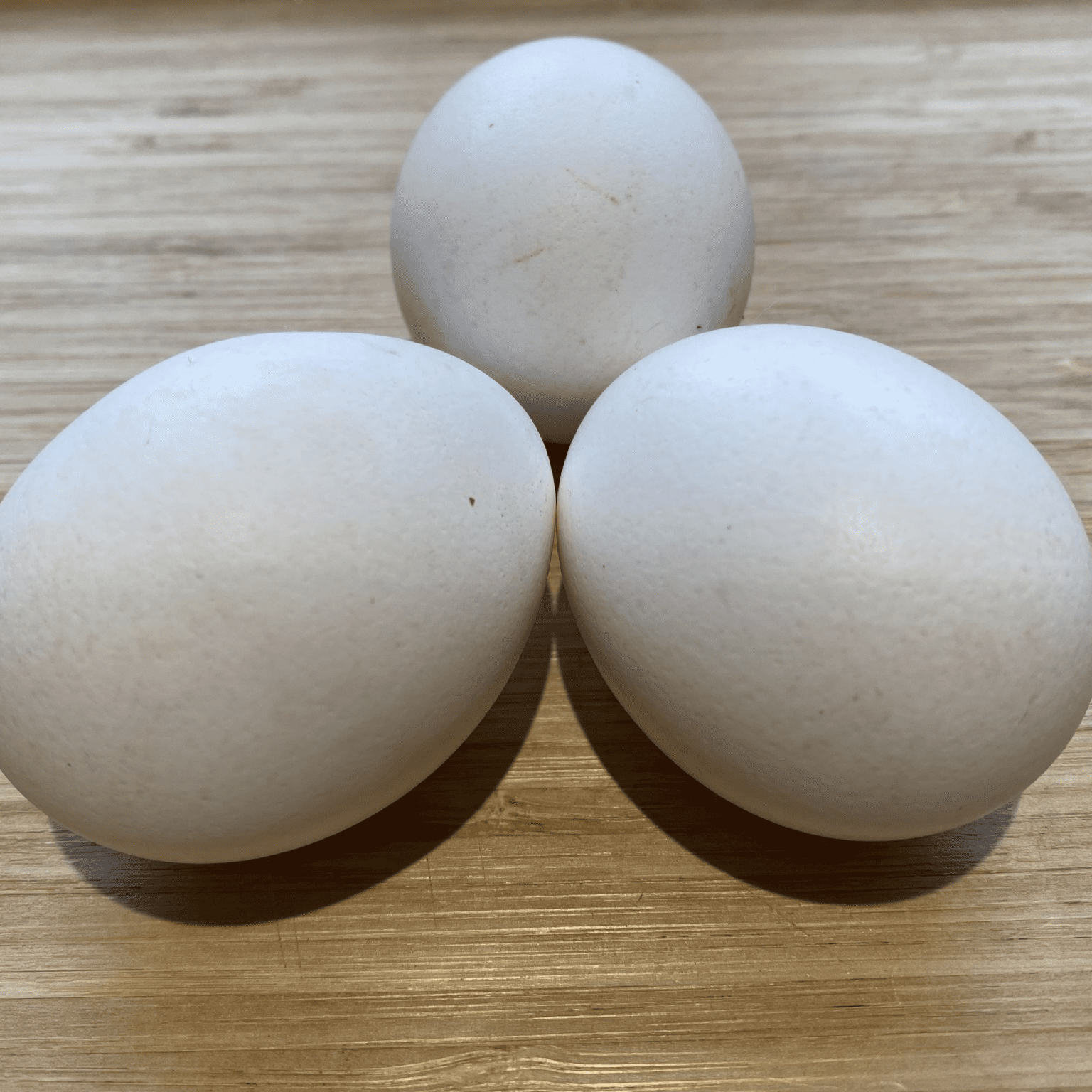 White Leghorn White Star Reserve For 4th July Onwards