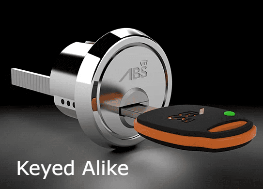 Avocet ABS Master Rim Cylinders - Keyed Alike