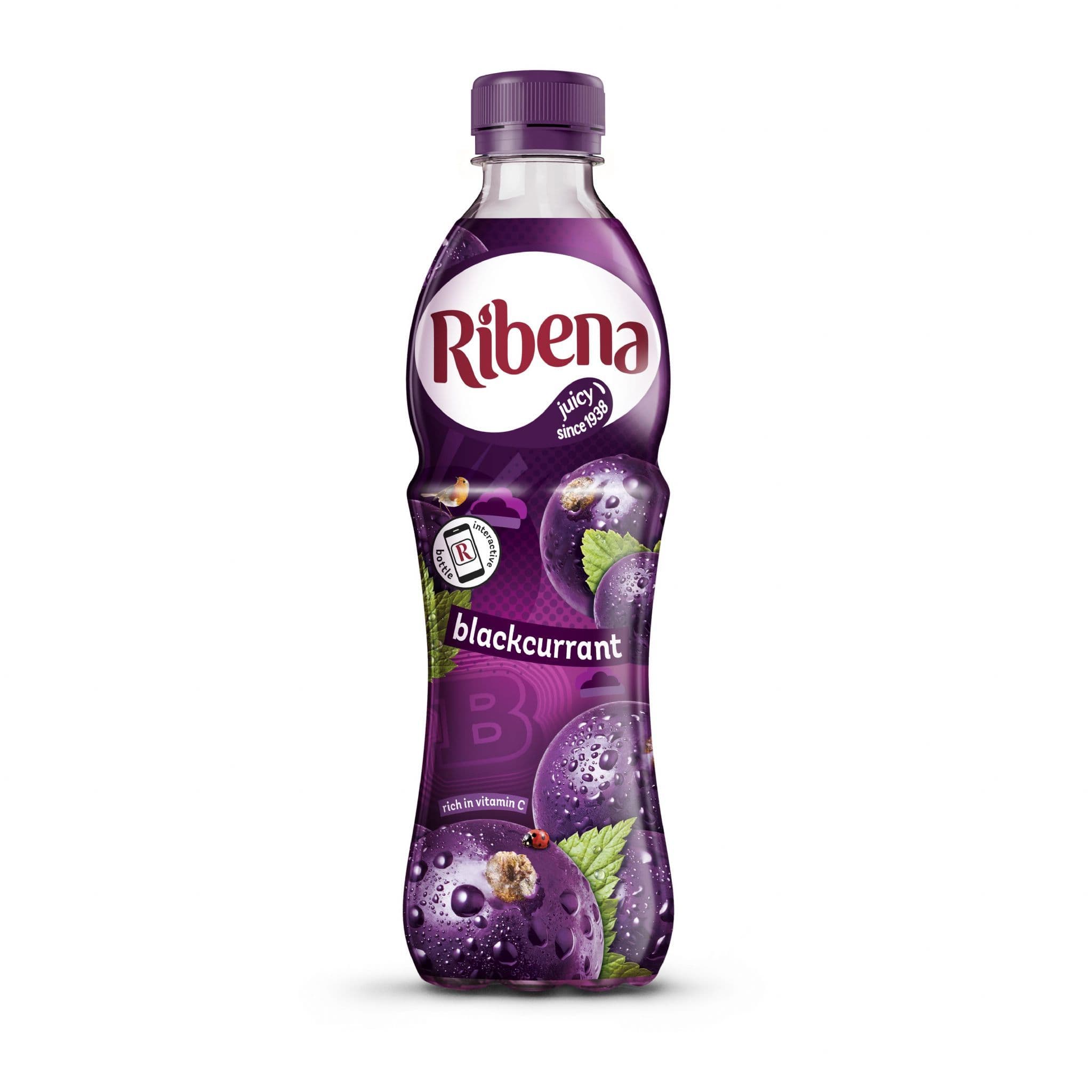 Ribena Bottles 12 x 500ml Blackcurrant