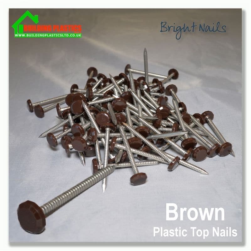 30mm Plastic Top Pins Brown Box 250 | Building Plastics Tele 0333 050 0585