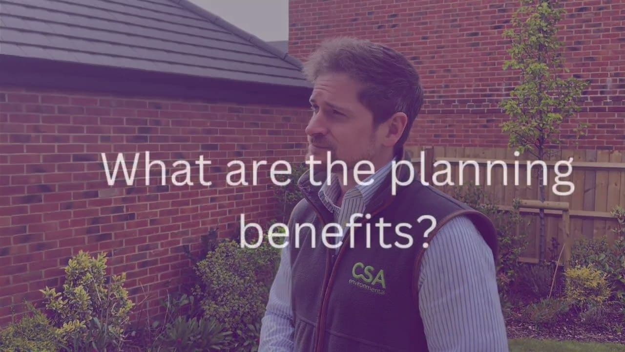 Swift Nesting Brick Box Antique Red Manthorpe | Building Plastics Tele ...