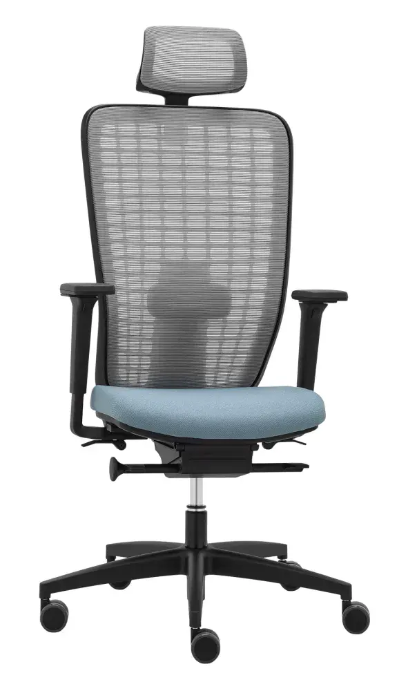 RIM Space Mesh Ergonomic Office Chair Premium Model
