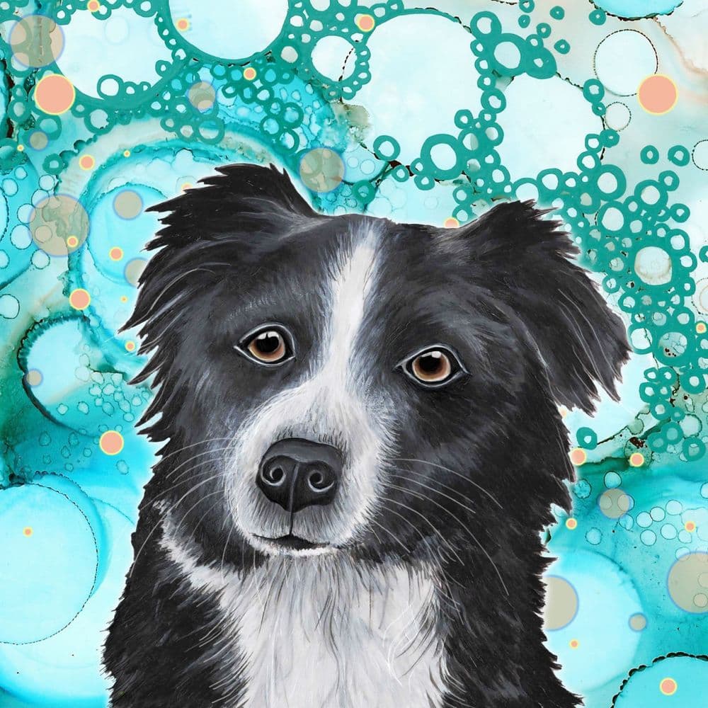 Border Collie Ceramic Coaster By Jo Crafts