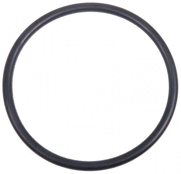 Banjo Filter Gasket 9901-LS075GV