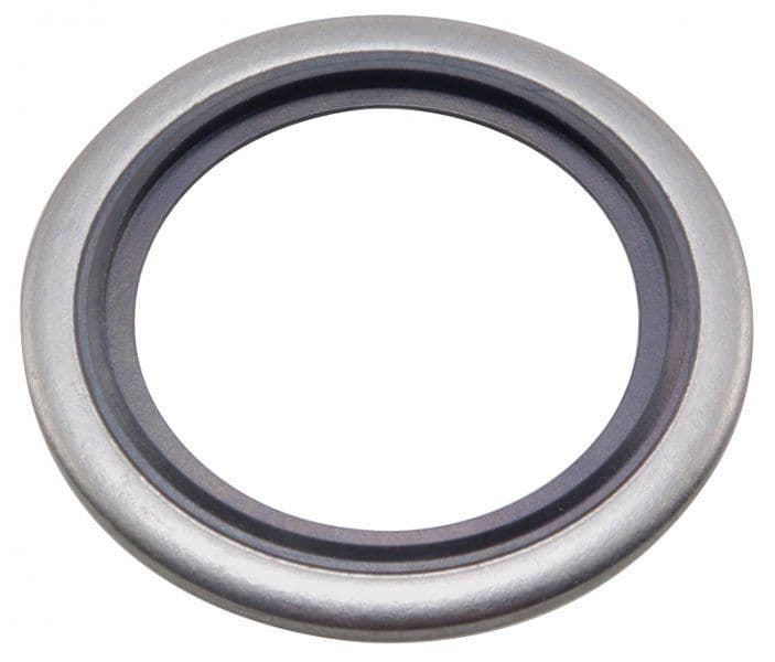Dowty Washer - AISI 316 BW08SS
