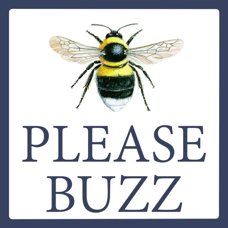 Bumblebee or bee house sign or wall plaque
