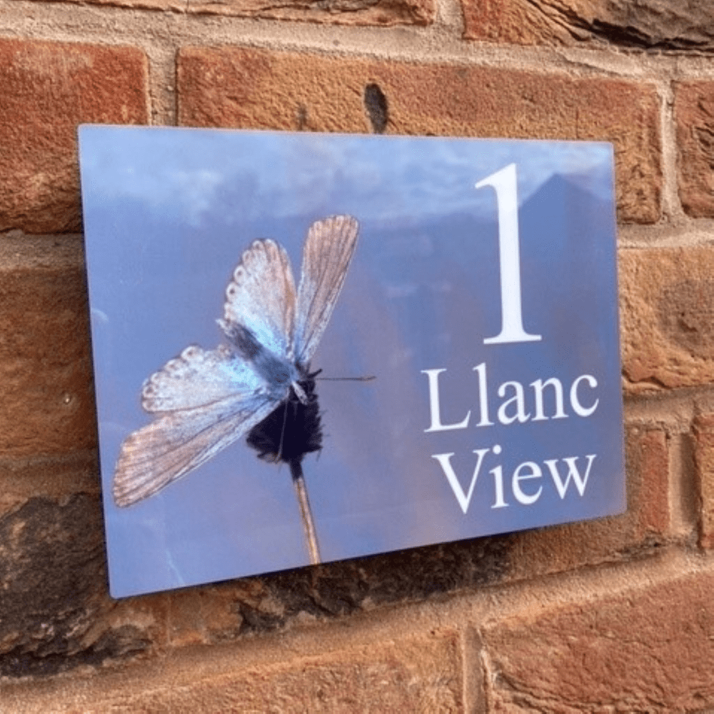 Chalkhill Blue Butterfly house sign or wall plaque