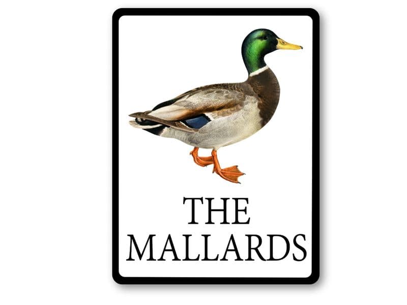 Duck personalised house sign or wall plaque