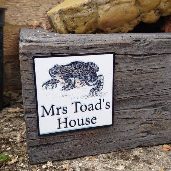 Frog or Toad house sign or wall plaque