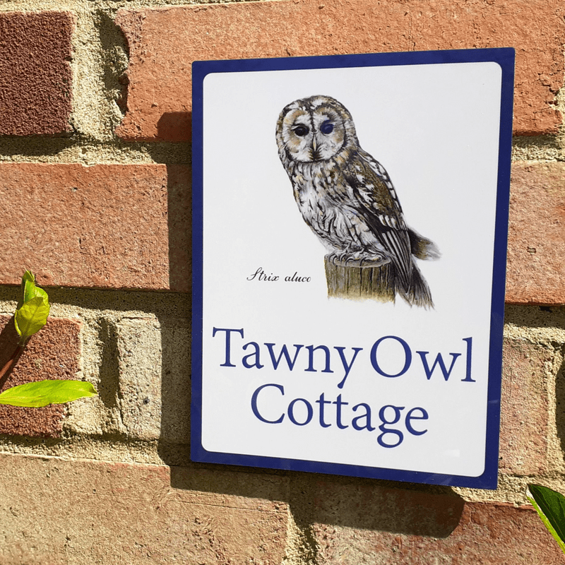 Tawny owl house sign or wall plaque