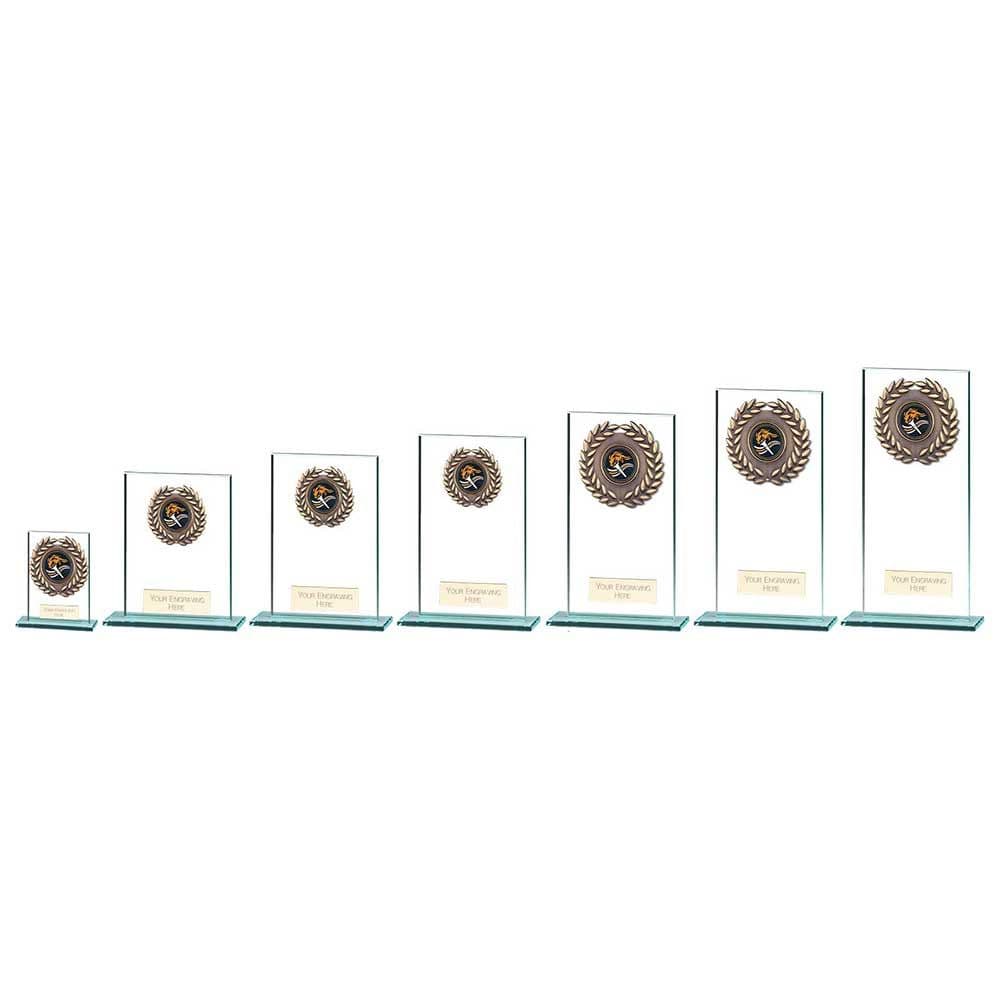 Academic/Achievement Warrior Trophy