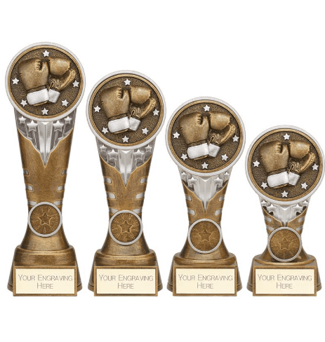 Boxing Trophy - Ikon