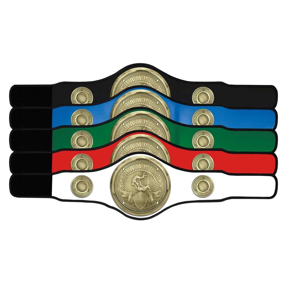 Judo/Jujitsu Champion Belt