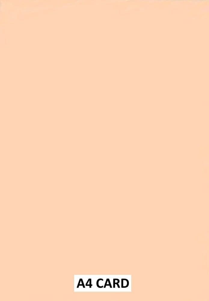 Salmon Card 160gsm