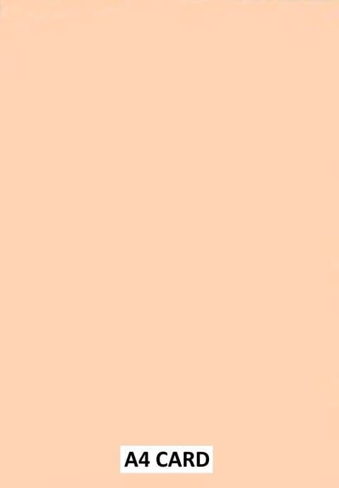 Salmon Card 160gsm