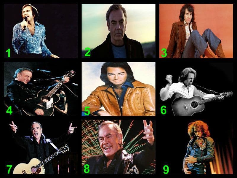 Personalised Neil Diamond Edible Cake Topper