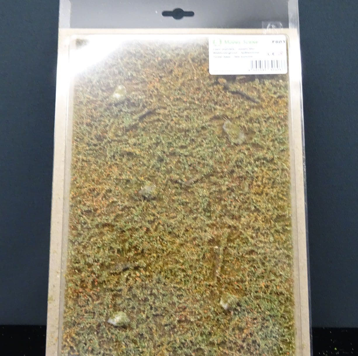 Model-Scene F603 Forest floor - Late Summer