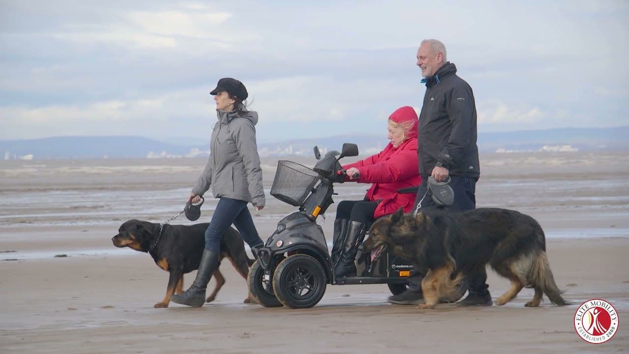 Mini Crosser X2 4 Wheeler