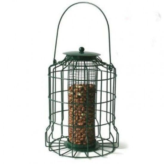 Squirrel Proof Peanut Bird Feeder