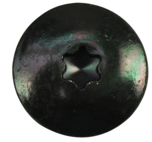 10x M6X20mm Torx Screw for Ford VW Citroen Peugeot Renault Black Metal